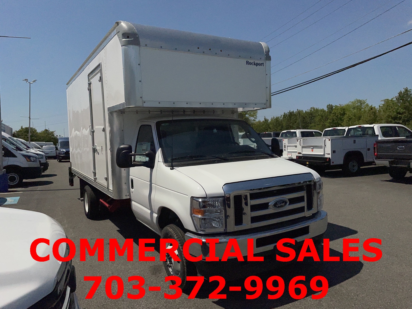 New 2025 Ford E-450SD Base E-450 in Springfield #GD08896 | Sheehy Ford ...